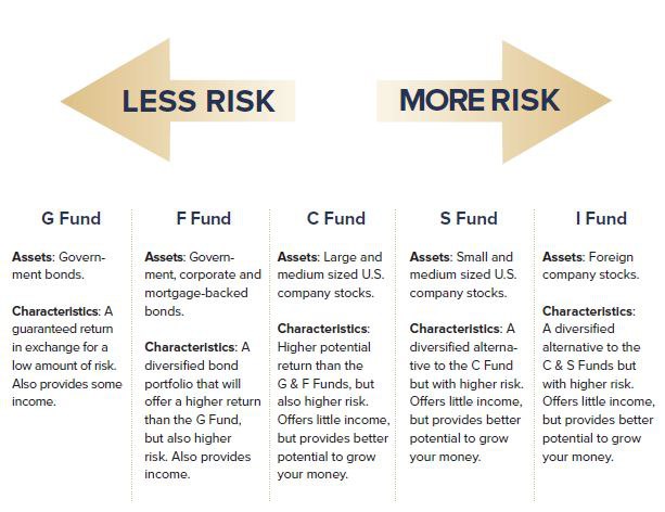 Choosing the Right Federal Thrift Savings Plan Investments